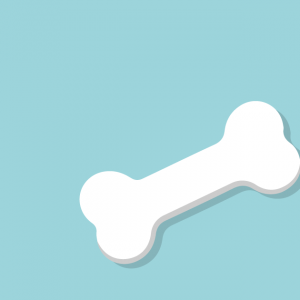 Interview with Portable Air - Pursue The Passion